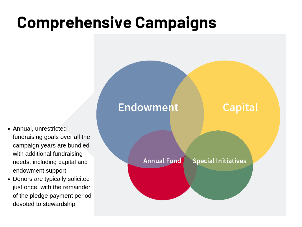 Comprehensive Campaigns vs. Capital Campaigns